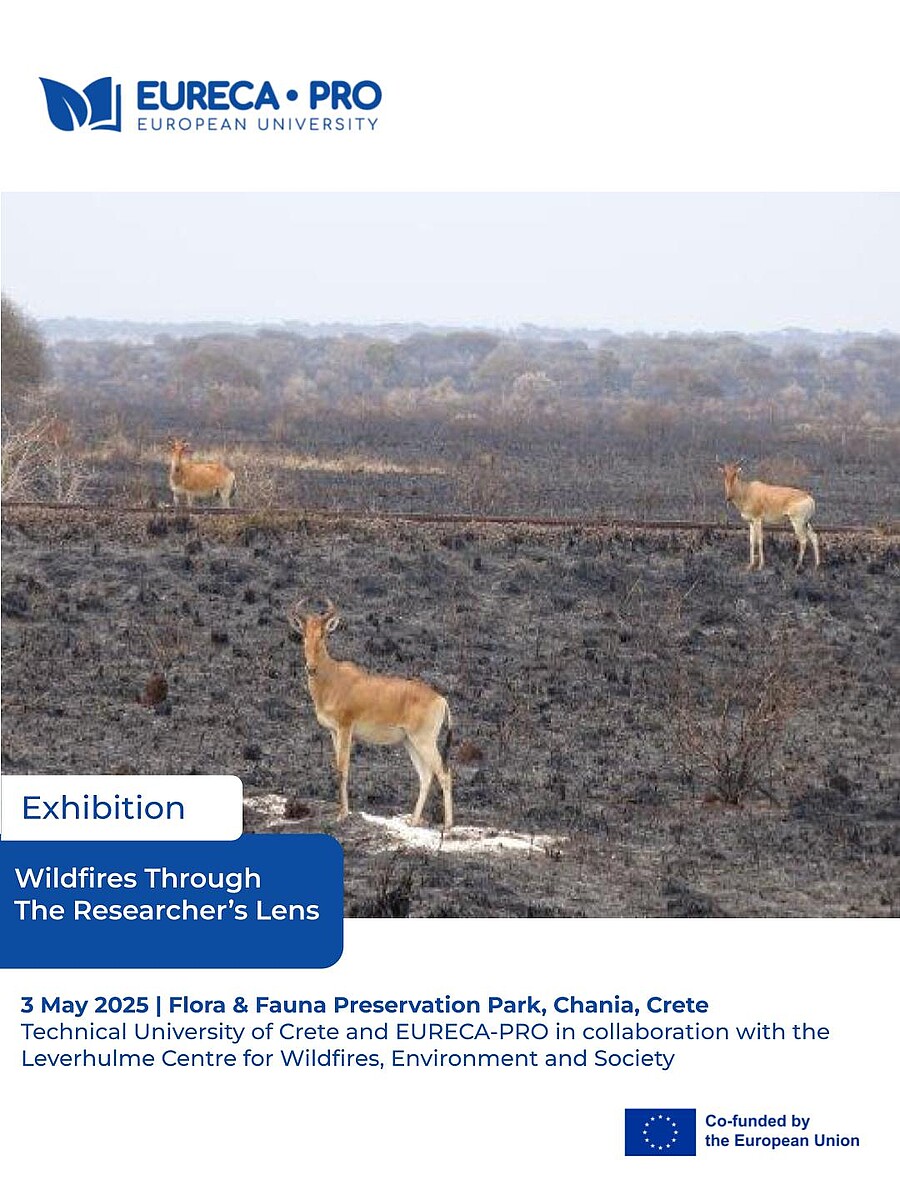 New Photography Exhibition at TUC's Flora and Fauna Preservation Park: Wildfires Through the ...